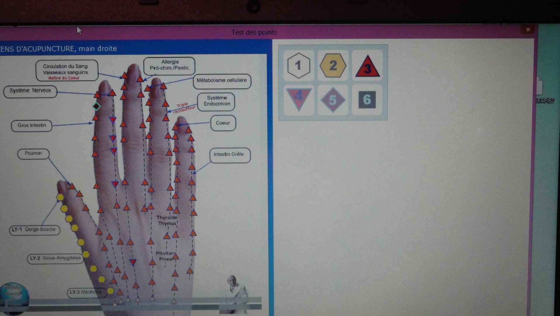 Bilan en naturopathie avec le PhysioScan - Déborah Naturopathe